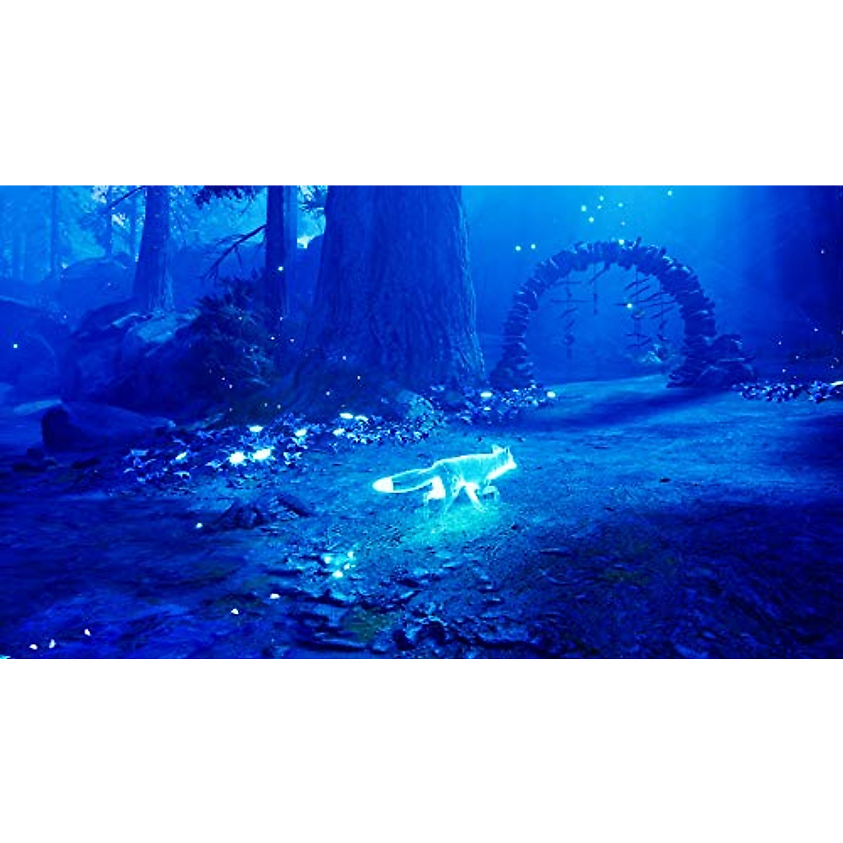 Spirit of The North (PS4)