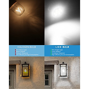 1820 Bulb 1816 1815 1495 1813 1819 53 57 BA9S Led Bulb 10-30Volt AC/DC for Train Light, Bingo Board Bulbs,Instrument panel Indicator Lights,House Number Light Bulb 1818 1893 White 2Pack