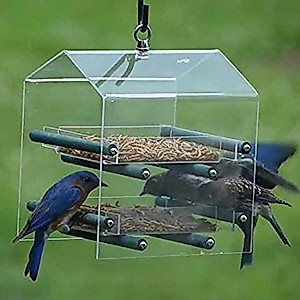 Amzey Dried Mealworms - 2 Pack 3.5OZ (7OZ Total) - High Protein Non GMO Mealworms - Great for Bearded Dragon, Birds, Fish, Lizard, Ducks, Chickens, Hamsters, Hedgehogs,Turtle Food, Reptile Food