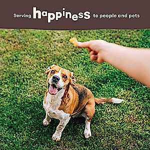 Pet 'n Shape Chik 'n Rings Jerky Dog Treats - 8 Ounce