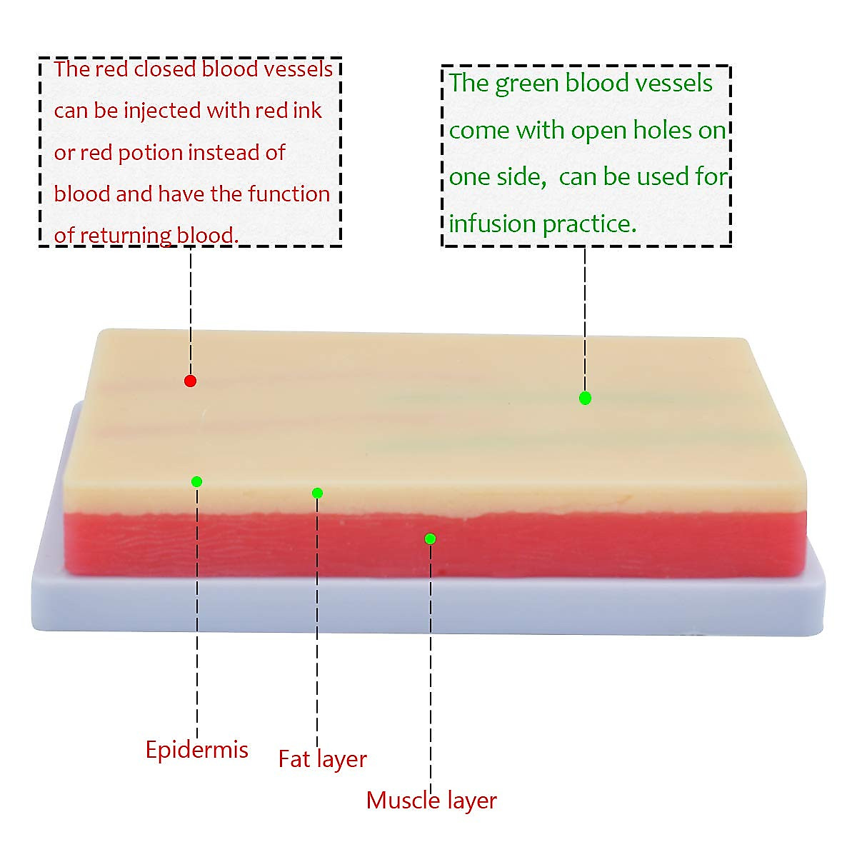 IV Training Kit, Phlebotomy Practice Kit with Needles, Venipuncture IV Injection Training Pad Starter Kit Blood Draw Practice kit for Nursing Student Medical Education