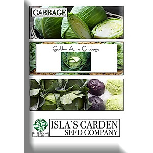 Golden Acre Cabbage Seeds for Planting, 500+ Heirloom Seeds Per Packet, (Isla's Garden Seeds), Non GMO Seeds, Botanical Name: Brassica oleracea