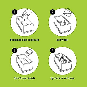 The Cat Ladies Organic Cat Grass Growing kit with Organic Seed Mix, Soil and Ceramic Planter with Bamboo Tray. Natural Hairball Control and Remedy for Cats