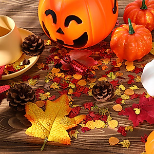 Fall Confetti Autumn Glitter Sequin Confetti Thanksgiving Confetti Fall Maple Leaves Turkey Pumpkin Confetti Sprinkles Table Decorations for Thanksgiving Fall Party Supplies, 2.1 oz