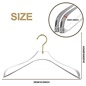 Quality Clear Acrylic Clothing Hangers – 2 Pack, Curved Stylish Clothes Hanger with Gold Hooks - Coat Hanger for Dress, Suit - Closet Organizer Adult Hangers - Heavy Duty Cloth Hangers (Gold Hook, 2)
