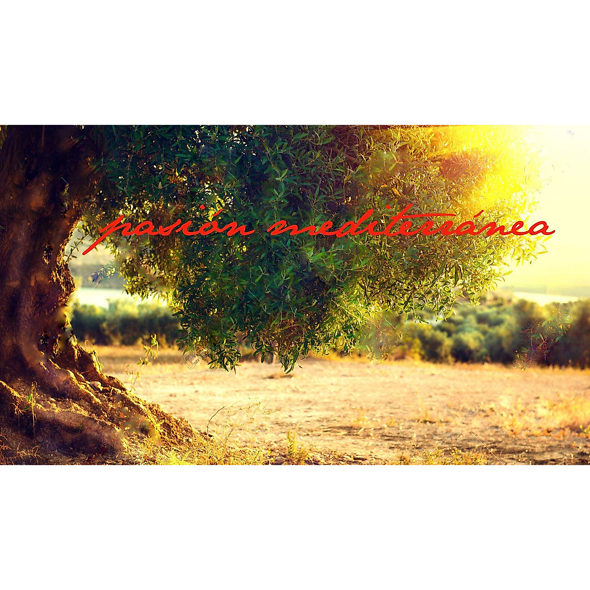 60 Grams of Ground Fig Dried Leaves. Ficus carica Organic and Sustainable, from The Producer to Your Home, Fig Leaf for Tea or Cooking, Produced and Shipped ONLY by Pasion Mediterranea