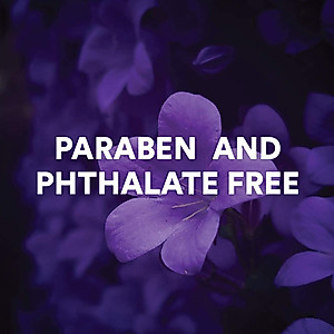 Camille Beckman Fragrant Body Mist, Alcohol Free, Blackberry Lavender, 8 Ounce