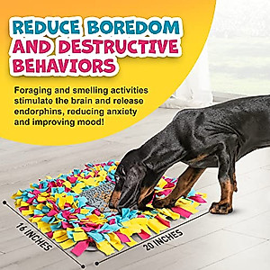 HOUNDGAMES Snuffle Mat for Small Dogs, Pet Foraging mat for Smell Training and Slow Eating, with Lick Pad, Slow Feeder, Sniffer, Foraging, Silicone, Pets, Puzzle