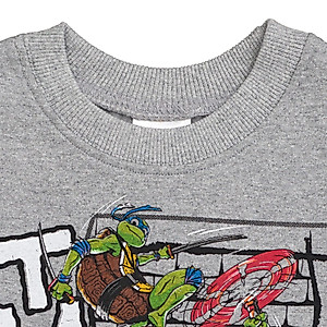 Teenage Mutant Ninja Turtles Donatello Raphael Leonardo Toddler Boys Fleece Sweatshirt and Pants Set Gray/Green 5T