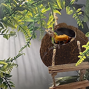 MUYG 5PCS Coconut Hut for Gecko, Lizard Coco Den with Ladder and Reptile Hammock Bearded Dragon Tank Accessories Climbing Hanging Plants Jungle Vine Flexible Reptile Leaves Decor