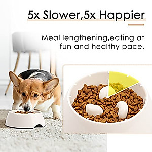 SUPERDESIGN Dog Slow Feeder Bowl 1/2 Cup Slow Feeding Dog Cat Bowls Slow Down Dog Bowl for Small Medium Large Breed Fun Feeder Slow Bowl Gulping Puppy Slow Feeder Bowl for Dry Wet Raw Food Non-Slip