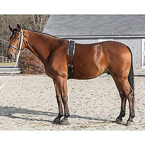 Dover Saddlery Fleece and Nylon Surcingle, Size Horse, Black