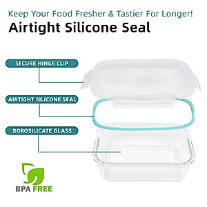 ECO-TOGO Airtight Glass Food Storage Containers with Lids, Glass Lunch Box, Leak-proof, BPA-Free, Microwave, Oven, Freezer, Dishwasher (8-Pack)