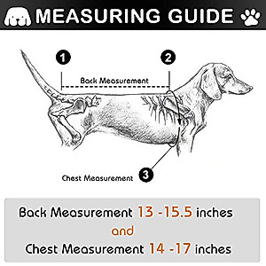 LAMPTOP Dog Back Brace for Dogs Arthritis, Pet Back Bracer for IVDD, Back Protector Helps Pain Relief, Surgical Recovery and Rehabilitation, Dogs Back Disease Prevention.