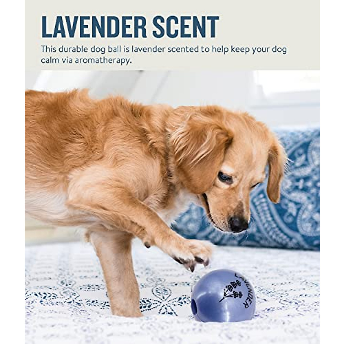 Planet Dog Orbee-Tuff Essentials Lavender Scented Interactive Dog Ball Treat Dispenser Toy, Purple