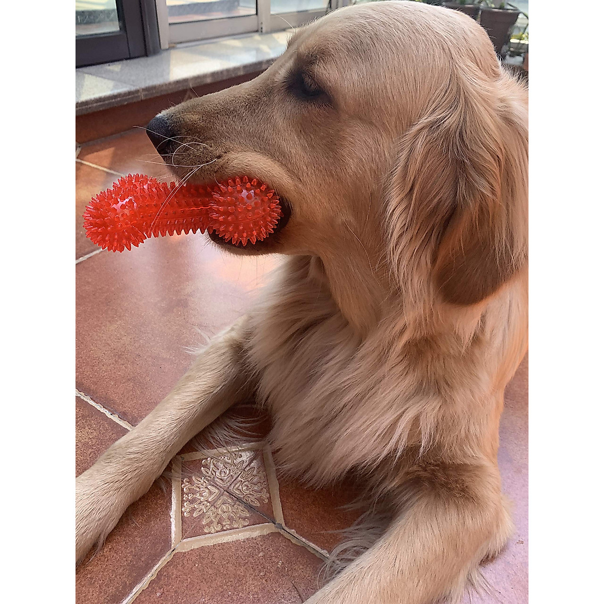 Dog Squeaky Toys Value Set Non-Toxic Dog Squeaky Balls for Dogs Toss Fetch Toys for Dogs TPR Rubber Puppy Toys Spikey Dog Chew Toys for Small Medium Dogs Pet Toys for Puppy Dog Teething Toys