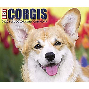 Just Corgis 2021 Box Calendar (Dog Breed Calendar)