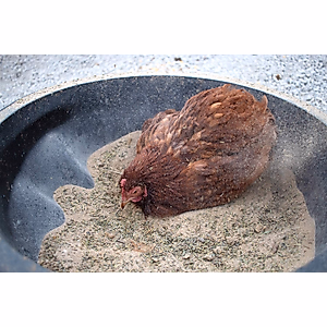 Pampered Chicken Mama Dust Bath with Non-GMO Herbs (5 pounds) - All Natural Poultry Supplies for Hens Who Love Bathing in Chicken Coops - (5 pounds)