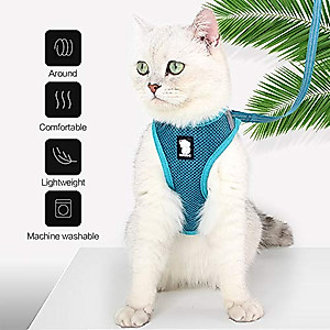 Heywean Cat Harness and Leash - Ultra Light Escape Proof Kitten Collar Cat Walking Jacket with Running Cushioning Soft and Comfortable Suitable for Puppies Rabbits (M, Turquoise)