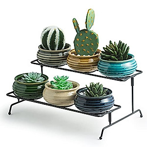 Succulent Plant Pots Stand 6pcs Indoor Plants Live 2 Tier Decorative Ceramic Small Plant Pots with Stand Holder Mini Flower Pots Gifts for Plant Lovers Home Office Desk Garden Mini Cactus Pot