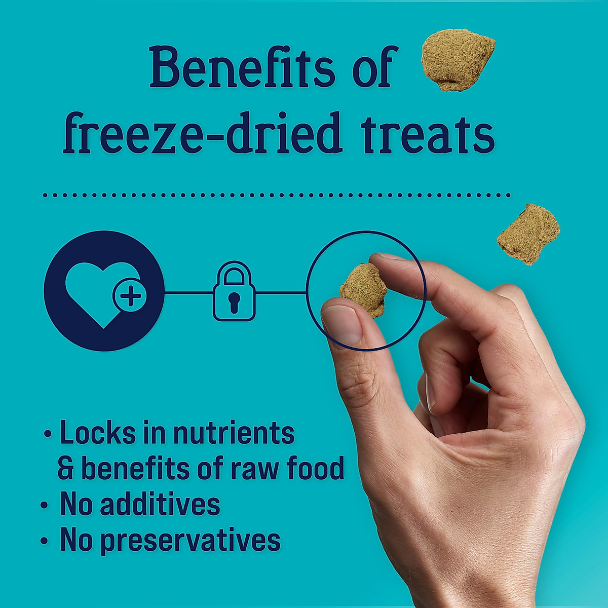 Stewart Freeze Dried Dog Treats, Zen Beef & Pumpkin, Anxiety Relief, Grain Free, 4 Ounce Resealable Pouch, Made in USA