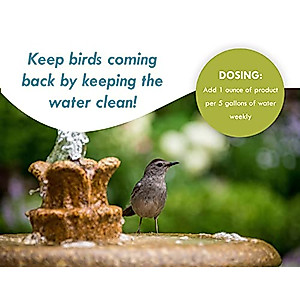 Bird Bath & Fountain Maintenance - (8 Ounces) - Fast-Acting Enzyme-Based Formula Will Extend The Life of Your Water Feature, Aid in Maintaining a Balanced Ecosystem - Safe for All Birds & Animals