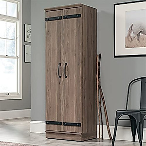 Sauder HomePlus 2-Door Farmhouse Storage Cabinet Salt Oak, Salt Oak Finish