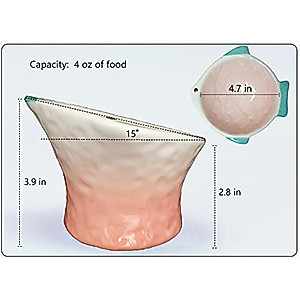 Raised Tilted Ceramic Cat Food Bowl - Cute Pink Fish Shape Elevated Slanted Shallow Angled Cat Dish - Personalized Pet Feeder for Kitty Dry Wet Treats Feeding - Ergonomic Anti Vomiting Whisker Fatigue