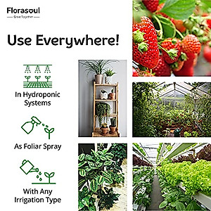 Florasoul All Purpose Liquid Plant Food Vegan Organic Garden Fertilizer Flowers, Vegetables, Herbs, Shrubs, Trees NPK3-4-18 Water Soluble Organic Nutrients 500g/200 Gal