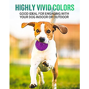 2.5" Squeaky Dog Balls for Small Medium Dogs, 6 Pack Small Dog Chew Toys with Spike, Puppy Toys for Teeth Cleaning and Training