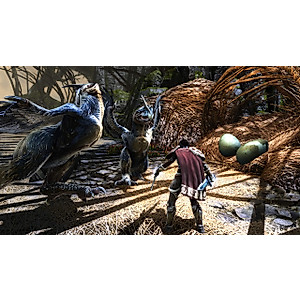 Kingdoms of Amalur Re-Reckoning - Xbox One