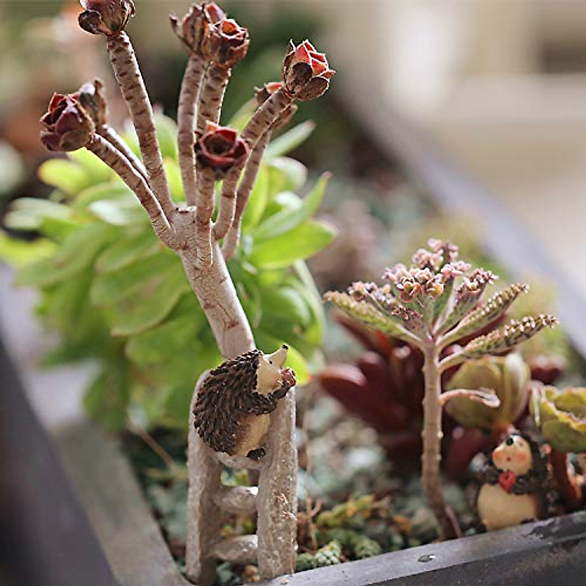 MUAMAX Miniatures Hedgehog Figurines Fairy Garden Hedgehog Accessories Suppliers Mini Hedgehog Animals Micro Landscape Bonsai Craft Decor Miniature Garden Ornaments