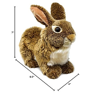 TigerHart Brigid The Brown Rabbit - 10 Inch Stuffed Animal Plush Bunny