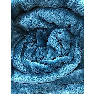 Home Must Haves Solid Color All Season Extra Soft Warm Cozy Sofa Couch Throw Bed Premium Blanket (Queen, Turquoise)