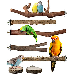 Bissap Bird Perch Stand 7PCS, Natural Grape Wood Pole Standing Parrot Cage Branch Paw Grinding Fork Parakeet Platform Hammock for Conures Budgies Finches Cockatiels Small Birds Exercise Training