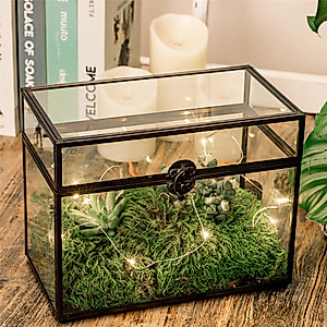 NCYP 9.8 x 5.6 x 7.7 Inch Glass Card Box with Lid for Wedding Reception, Envelope, Keepsake - Vintage Terrarium Container, Clear Party Centerpiece, Black (Glass Box Only)