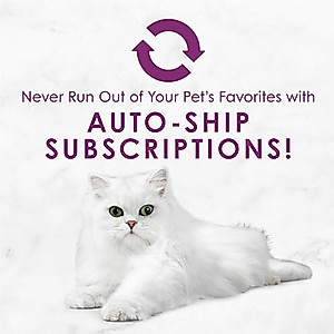 Purina Fancy Feast Savory Centers Pate Adult Wet Cat Food with Beef and a Gravy Center - (Pack of 24) 3 Oz. Cans