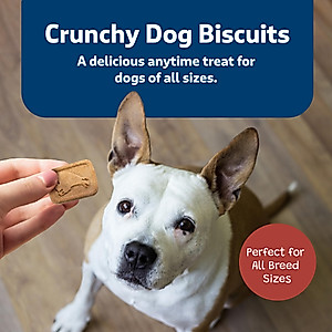 Blue Buffalo Health Bars Crunchy Dog Biscuits, Oven-Baked With Natural Ingredients, Bacon, Egg & Cheese, 3-lb Box