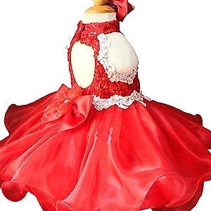 Jenniferwu G035 Infant Toddler Baby Newborn Little Girl's Pageant Party Birthday Dress RED SIZE12-18M