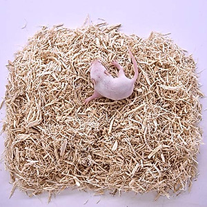 MiceDirect Frozen Mice Combo Pack of 100 Small Fuzzie & Fuzzie Feeder Mice – 50 Small Fuzzies & 50 Fuzzies - Food for Corn Snakes, Ball Pythons, & Pet Reptiles - Snake Feed Supplies