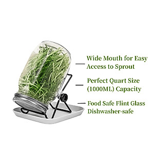 Lulonpon 2 Sprouting Jar Kit, Wide Mouth Quart Mason Jars with Stainless Steel Screen Sprout Lids, 86mm,1000ml,Stand,Tray and Canning Brush,Seed Sprouter Set for Growing Broccoli, Alfalfa, Mung Bean
