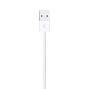 Apple Lightning to USB Cable (0.5 m)