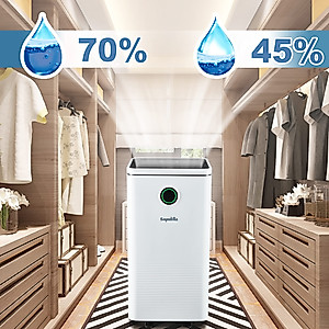 Sapodilla Dehumidifier for Basement, 30 Pints Dehumidifier for 2000 Sq.Ft, Auto or Manual Drainage, Portable Home Dehumidifier for Large Room Bedroom Bathroom Laundry