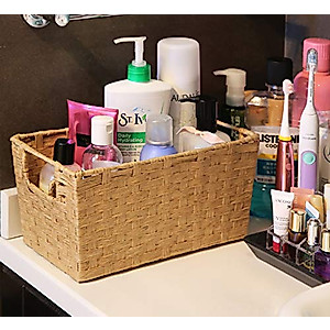 Woven Wicker Baskets with Compartments (Set of 2 Storage Baskets): Rustic Woven Hampers for Storage, Farmhouse Style Small Storage Bins, Versatile Woven Baskets with Compartments and Handles by SLPR