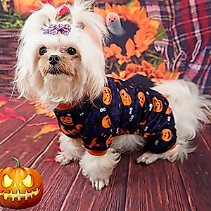 Halloween Dog Pajamas Costume, Cool Pumpkin Dog Bodysuit Soft Puppy Onesie PJS Costumes, Pet Clothes for Small Medium Dogs Cats, Cute Girl Boy Doggy Jumpsuit, Machine Washable Dog Outfit (M)