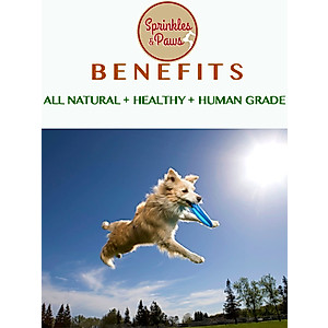 SPRINKLES & PAWS Pumpkin Powder for Dogs | Dog Food Topper Made in Canada with organic pumpkins | Helps Digestive Health, Allergy Relief, Skin & Coat, and with poop | Mix with food