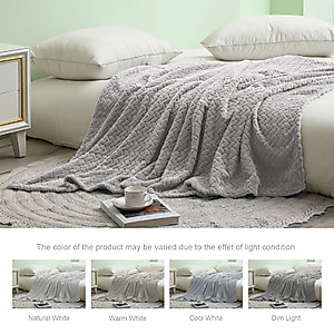 Exclusivo Mezcla Light Grey Fleece Throw Blanket for Couch and Bed, 50x70 Inches Soft Cozy 3D Decorative Jacquard Flannel Blankets, Lightweight Fuzzy Plush Warm Throws for All Seasons