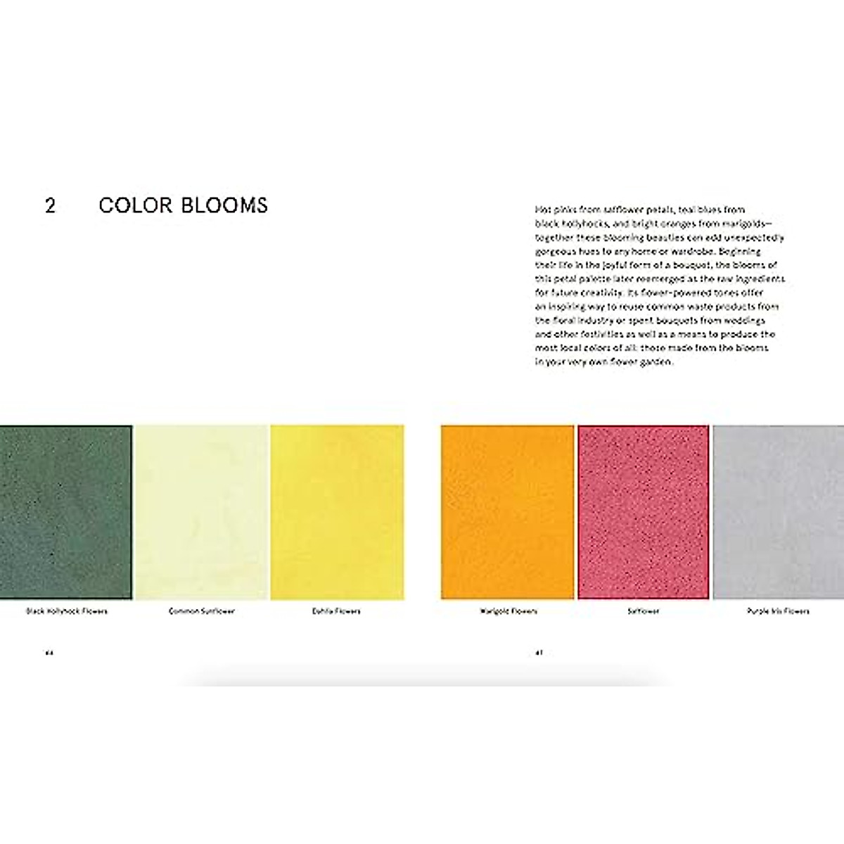 Natural Palettes: Inspiration from Plant-Based Color