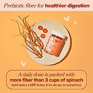 GOGO Fiber Gummies for Adults, 60 Count (Pack of 1) - Prebiotic Chicory Root Inulin Fiber Supplement - Daily Gummy Fiber for Digestive Gut Health, Constipation Relief - Non-GMO, Vegan & Cruelty-Free