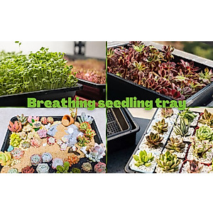 BeGrit Seed Starter Trays 5-Pack 15x12 inch Mesh Bottom Tray Plastic Plant Trays Garden Seedling Starter Kit for Plants,Microgreens,Soil Blocks,Wheatgrass,Hydroponic and Fodder Systems